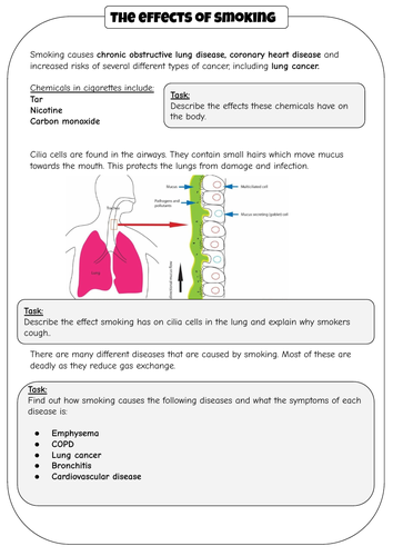 IGCSE Biology - The Effects of Smoking Worksheet (useful for cover work ...