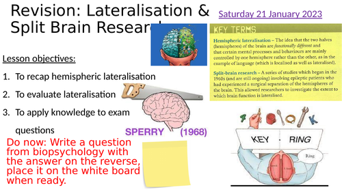 Lateralisation and split brain Revision Lesson | Teaching Resources