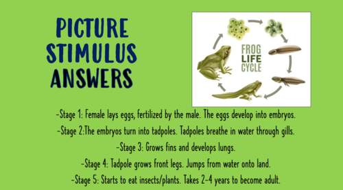 Year 5-6 Living Things and their Habitats: Knowledge Retrieval ...
