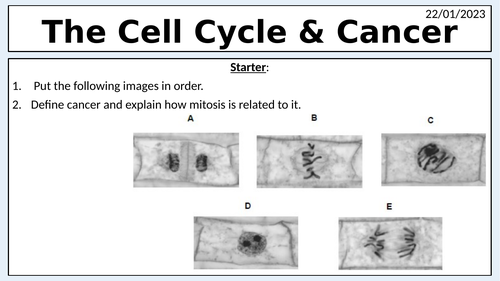 Y12 Mitosis, Cell Cycle & Cancer (3 lessons) | Teaching Resources