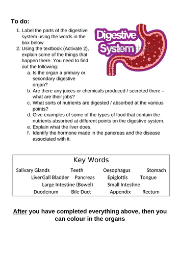 Digestive System - Primary Organs | Teaching Resources