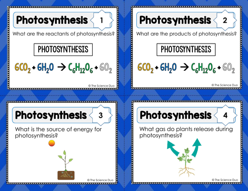 Photosynthesis | Teaching Resources