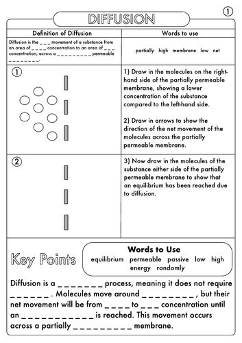 Diffusion | Teaching Resources