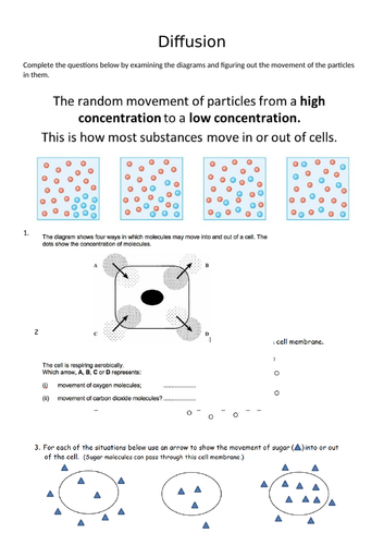 Diffusion | Teaching Resources