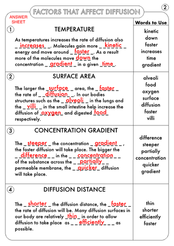 Diffusion | Teaching Resources