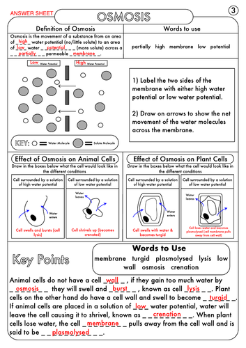 Osmosis | Teaching Resources