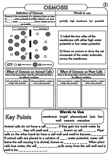 Osmosis | Teaching Resources