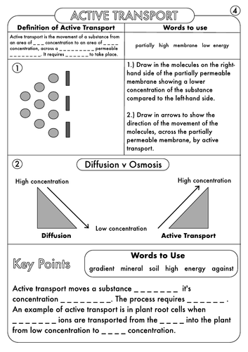 Active Transport | Teaching Resources