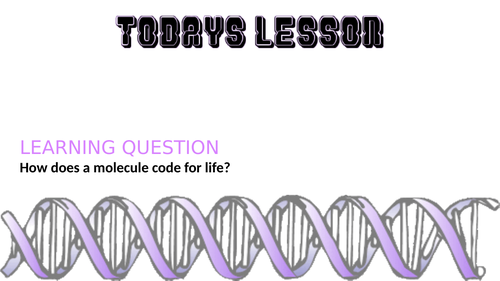DNA Structure | Teaching Resources DNA Structure | Teaching Resources