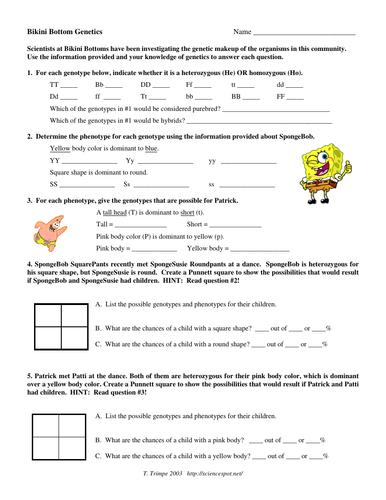 Genetic Inheritance with Sponge Bob! | Teaching Resources