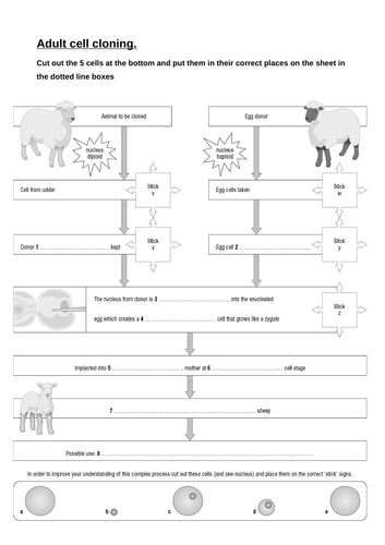 Cloning with The Games Of Clones! | Teaching Resources