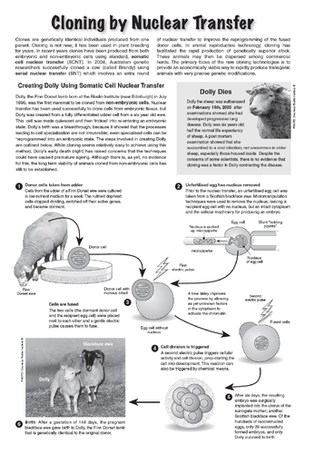 Cloning with The Games Of Clones! | Teaching Resources
