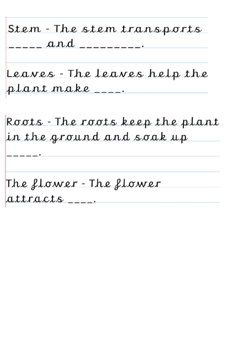 Parts of a Plant Stem Sentences | Teaching Resources