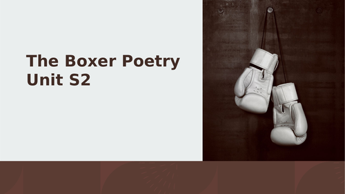 'The Boxer' by Emma Payne Unit | Teaching Resources