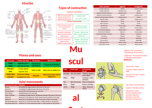 Musculoskeletal Revision Poster (AQA A-Level PE) | Teaching Resources