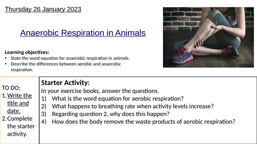 KS3 Biology Anaerobic Respiration: Complete Lesson | Teaching Resources