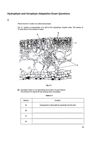 Adaptive Features - Hydrophytes and Xerophytes | Teaching Resources