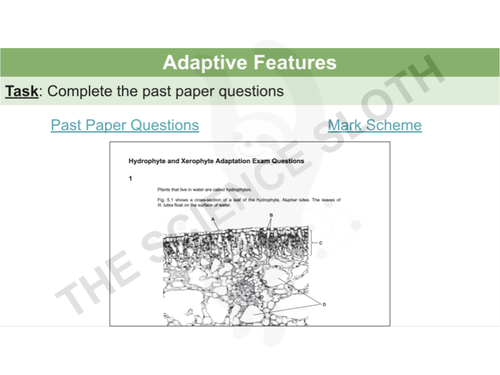 Adaptive Features - Hydrophytes and Xerophytes | Teaching Resources
