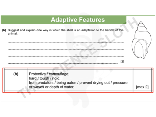 Adaptive Features - Hydrophytes and Xerophytes | Teaching Resources