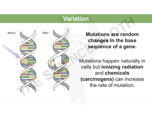 Variation - Continuous, Discontinuous and Histograms | Teaching Resources