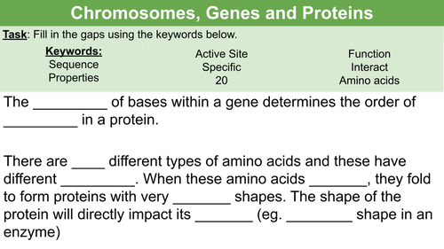 Chromosomes, Genes and Proteins - Transcription and Translation ...