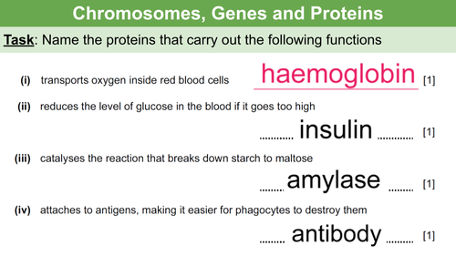 Chromosomes, Genes and Proteins - Transcription and Translation ...