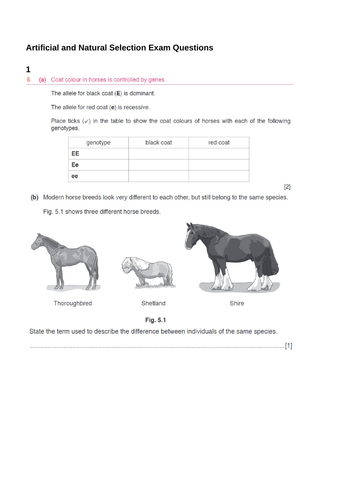 Natural and Artificial Selection - Evolution | Teaching Resources