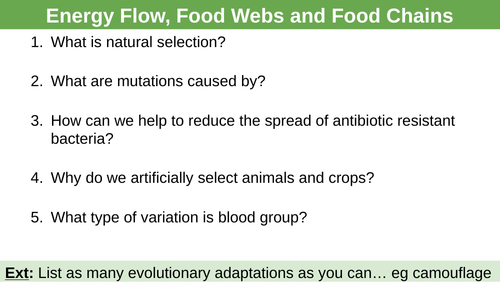 Energy Flow, Food Webs and Food Chains | Teaching Resources