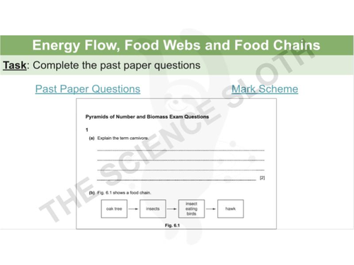 Energy Flow, Food Webs and Food Chains | Teaching Resources