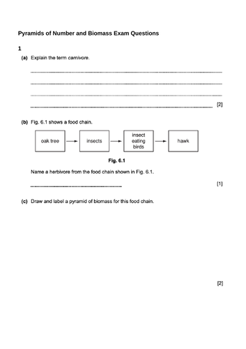 Energy Flow, Food Webs and Food Chains | Teaching Resources