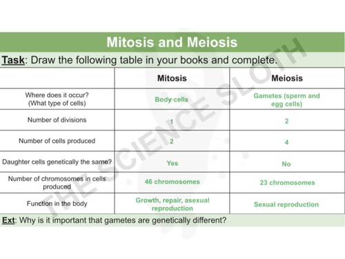 Cell Division - Mitosis and Meiosis | Teaching Resources