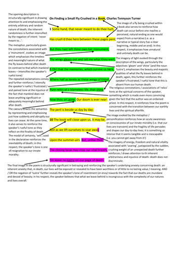 On Finding a Fly Crushed in a Book - CIE Poetry Anthology, Annotated ...