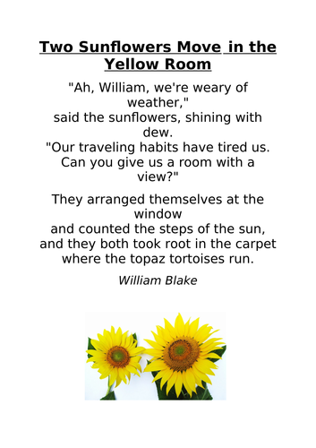 Poetry Imagery Planning Year 6 English Literature Imagery and ...