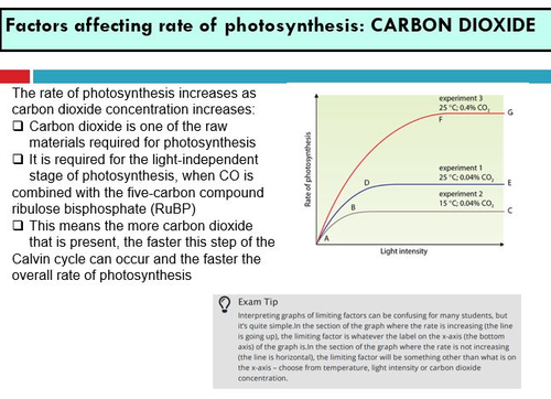 Photosynthesis Chapter 13 Cambridge A level | Teaching Resources