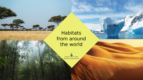 Sorting animals into their habitats | Teaching Resources