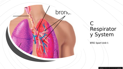 Btec Sport Level 3 unit 1C Respiratory system | Teaching Resources