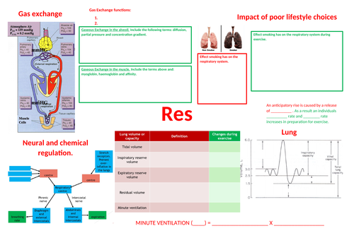 Respiratory System Revision Poster (AQA A-Level PE) | Teaching Resources
