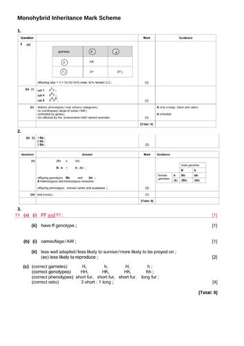 Monohybrid Inheritance - Genetic Cross Diagrams | Teaching Resources