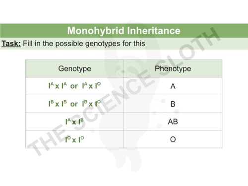 Monohybrid Inheritance - Genetic Cross Diagrams | Teaching Resources