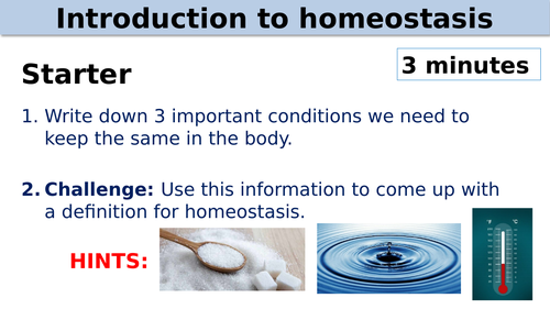GCSE Introduction to Homeostasis | Teaching Resources GCSE Introduction to Homeostasis | Teaching Resources