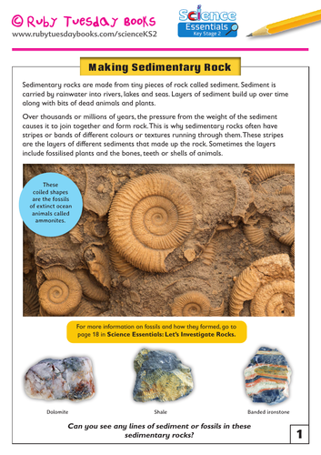 Sedimentary Rock | Teaching Resources