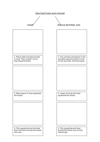 Fossil Fuel Formation | Teaching Resources