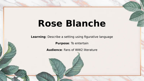 Rose Blanche Complete Unit of Work | Teaching Resources