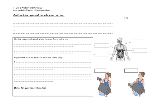 Muscles, Bones and Body Systems Worksheet | Teaching Resources