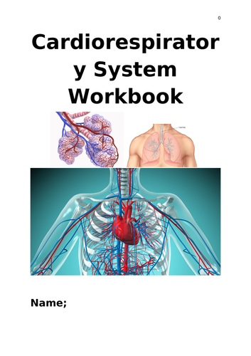 Anatomy and Physiology Bundle | Teaching Resources