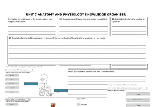 Anatomy and Physiology Bundle | Teaching Resources