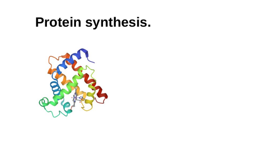 Protein Synthesis GCSE | Teaching Resources