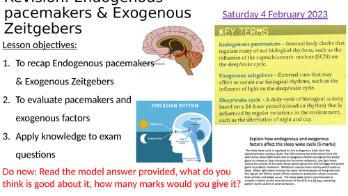 Endogenous Pacemakers and zeitgebers | Teaching Resources