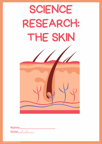 KS2/KS3 ‘The Skin’ Printable/Digital Science Activity Pack. | Teaching ...