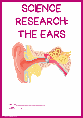 KS2/KS3 ‘The Ears’ Printable/Digital Science Activity Pack. | Teaching ...